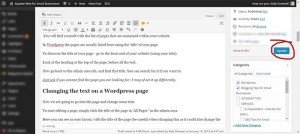 Beginners guide to the classic WordPress text editor