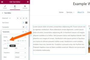 Elementor text editor - editing text, font size and line spacing