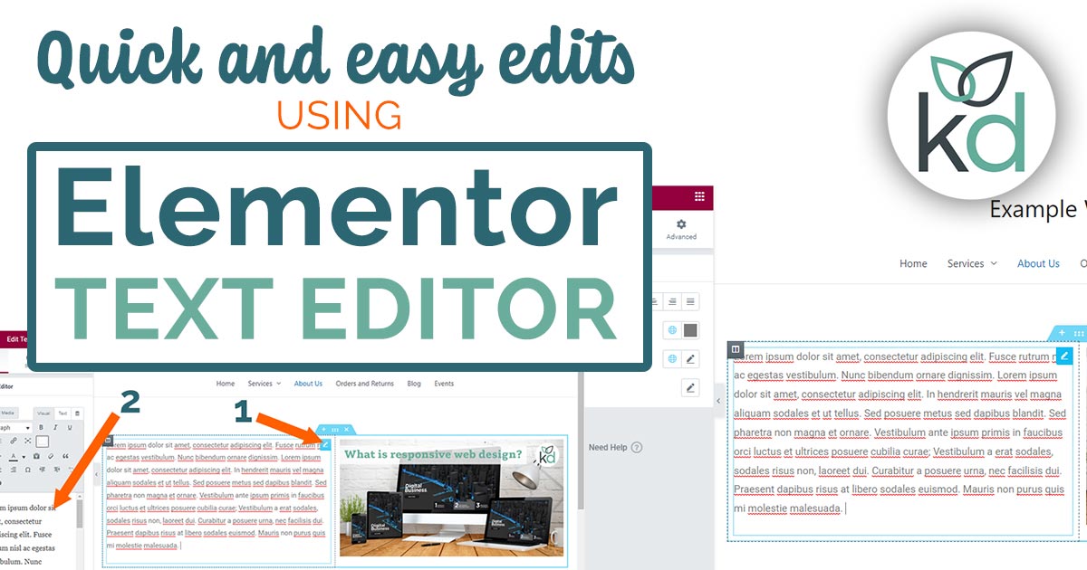 Elementor Text Editor Editing Text Font Size And Line Spacing